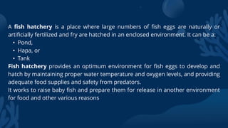 Fish Hatchert powerpoint presentationt.pptx | Zoos & Aquariums ...