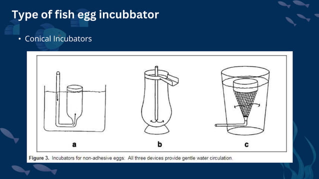 Fish Hatchert powerpoint presentationt.pptx | Zoos & Aquariums ...