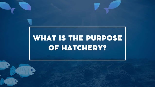 Fish Hatchert powerpoint presentationt.pptx | Zoos & Aquariums ...