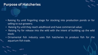 Fish Hatchert powerpoint presentationt.pptx | Zoos & Aquariums ...