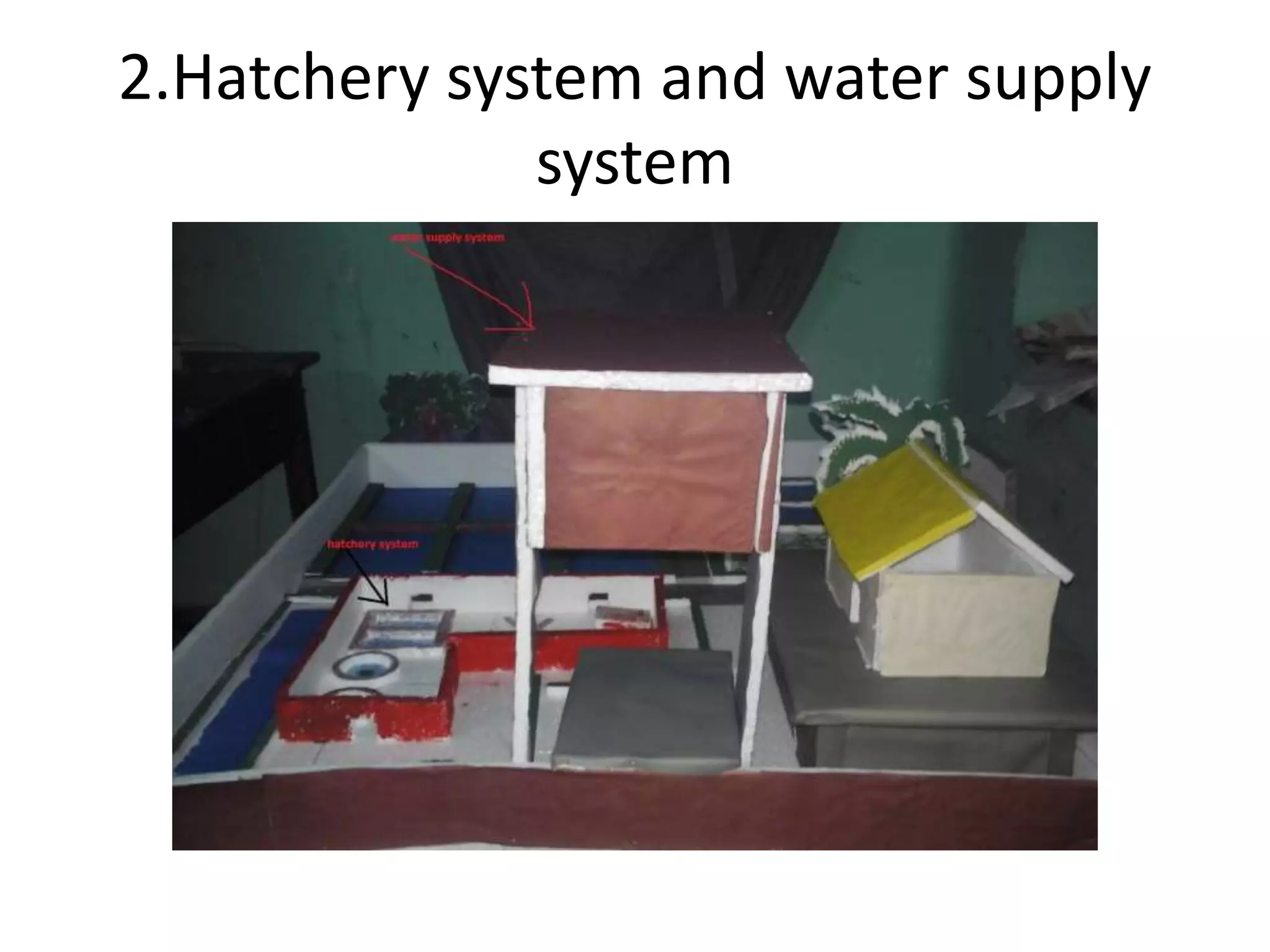 Design and construction of a fish hatchery complex | PPTX