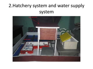 Design and construction of a fish hatchery complex | PPTX
