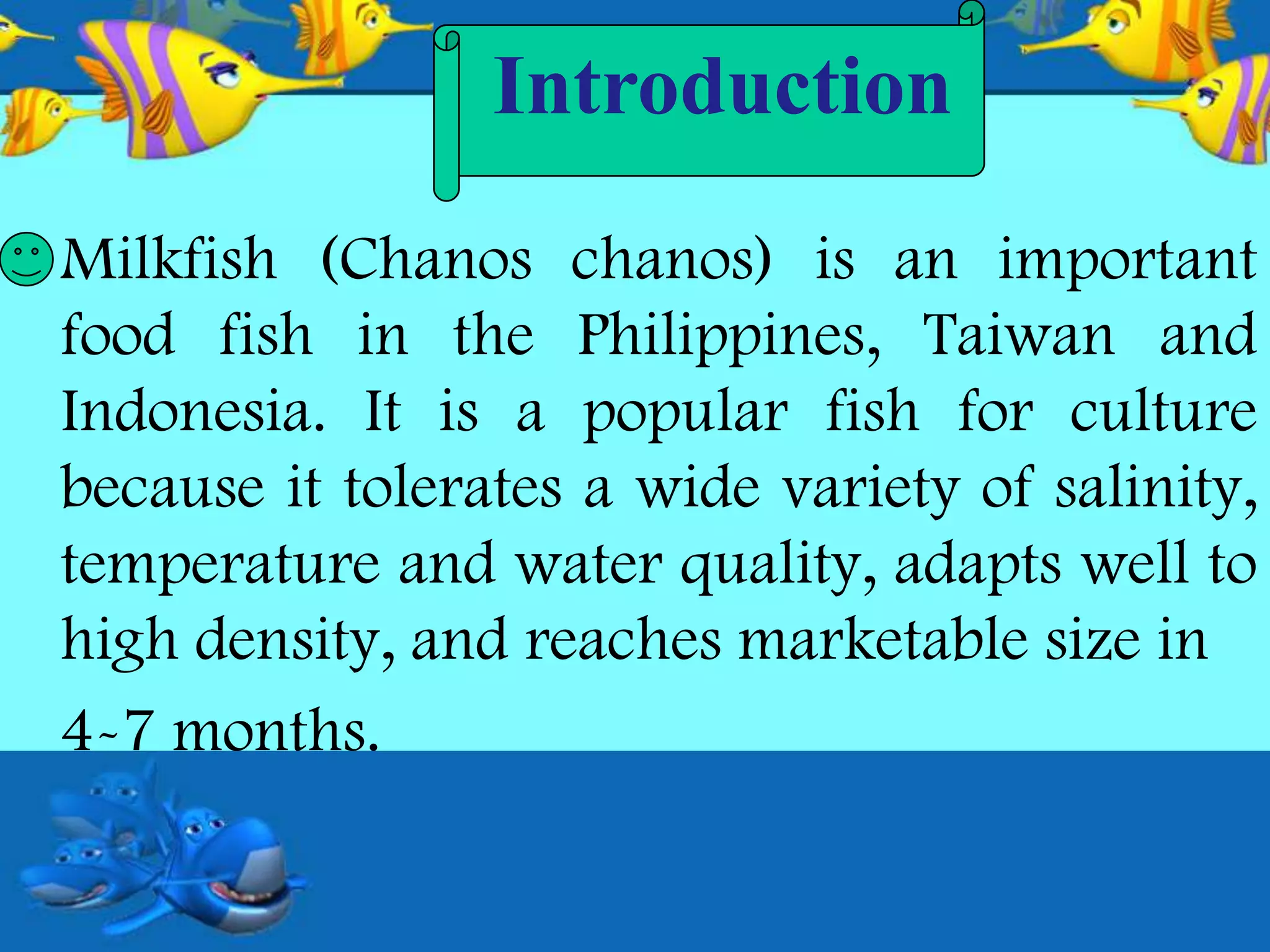 Hatchery technology of milkfish | PPTX