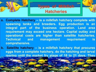 Hatchery technology of milkfish | PPTX