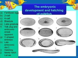 Hatchery technology of milkfish | PPTX