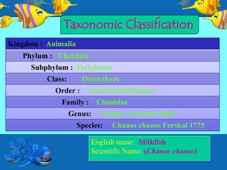 Hatchery technology of milkfish | PPTX
