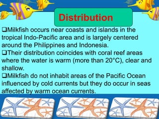 Hatchery technology of milkfish | PPTX