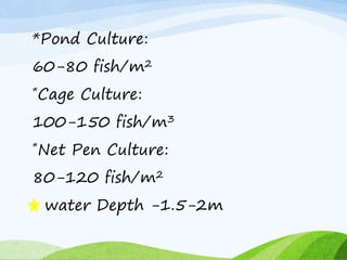 Hatchery technology of Pangasius | PPTX