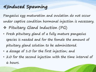 Hatchery technology of Pangasius | PPTX