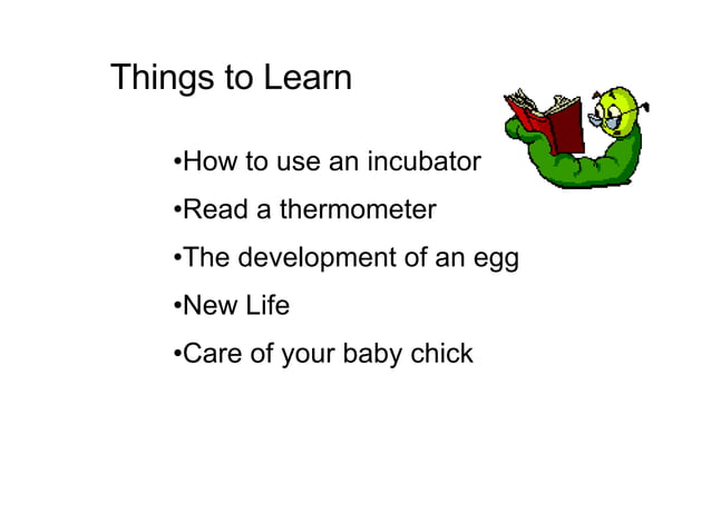 Hatching Chicks | PPT