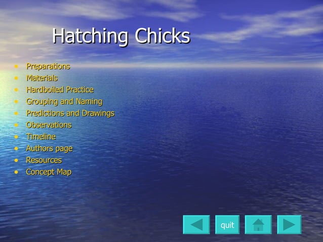 Hatching Chicks In A Special Education Classroom | PPT