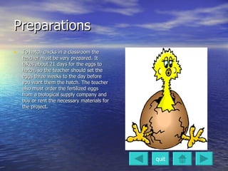 Hatching Chicks In A Special Education Classroom | PPT