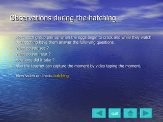 Hatching Chicks In A Special Education Classroom | PPT