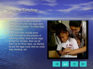 Hatching Chicks In A Special Education Classroom | PPT