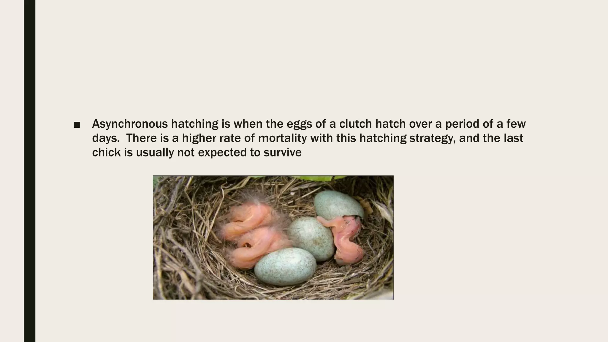 Hatching behavior | PPT