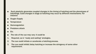 Hatching behavior | PPT