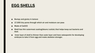 Hatching behavior | PPT