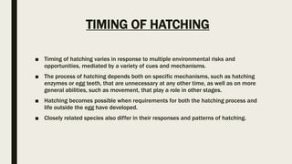 Hatching behavior | PPT