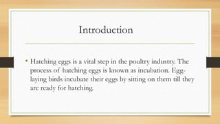Hatching Egg | PPTX