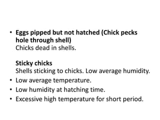 Hatch Out | PPT | Free Download