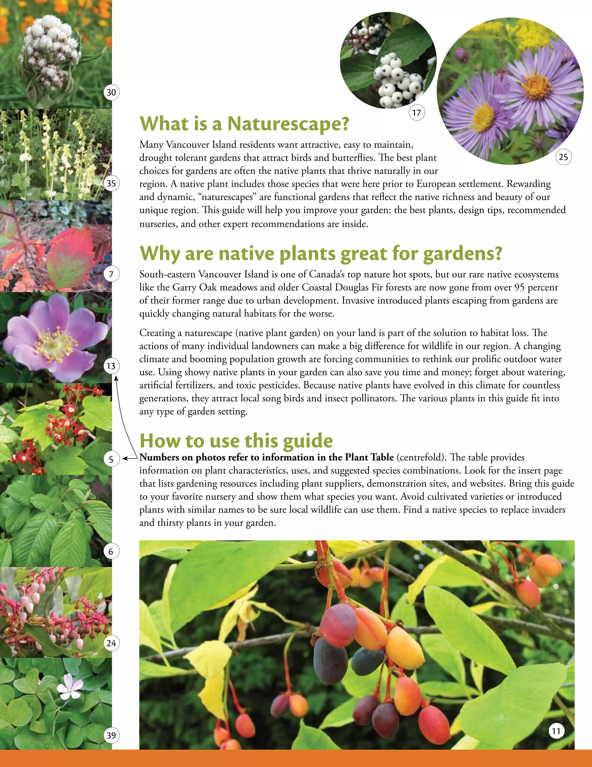 Gardening with Native Plants - Victoria, British Columbia | PDF