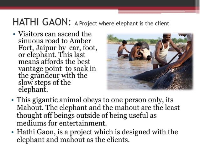 Hathi gaon | PDF