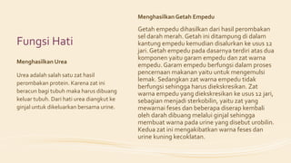 Hati dan Penyakitnya | PPTX