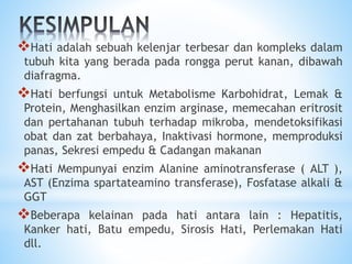 Hati | PPTX