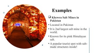 Salt Mines & Biodiversity: History, Ecosystem & Life in Extreme ...