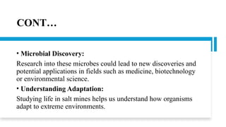 Salt Mines & Biodiversity: History, Ecosystem & Life in Extreme ...