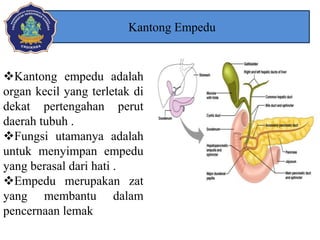 Histologi Hati dan Pankreas | PPTX