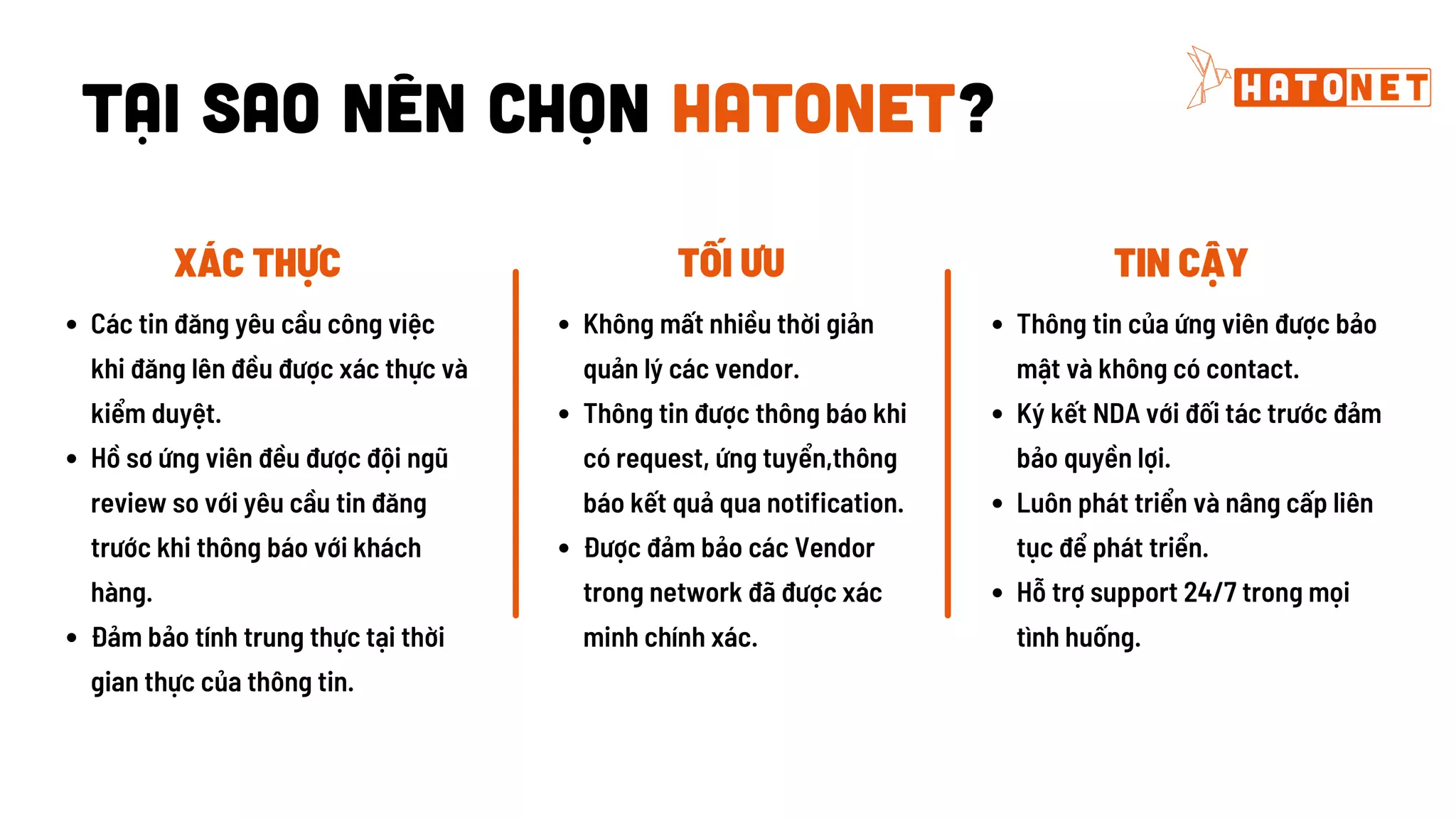 Hatonet Profile 2023 - VN.pdf