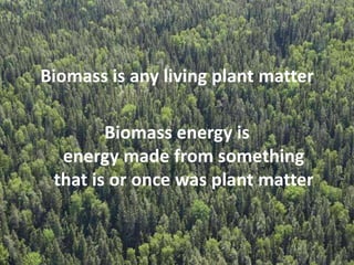 Biomass presentation by Mr. Hauber 2013 | PPTX