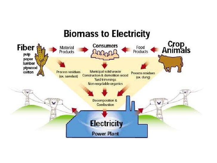 Biomass Energy Diagram For Kids Biomass Flask :: Biomass Gasifier