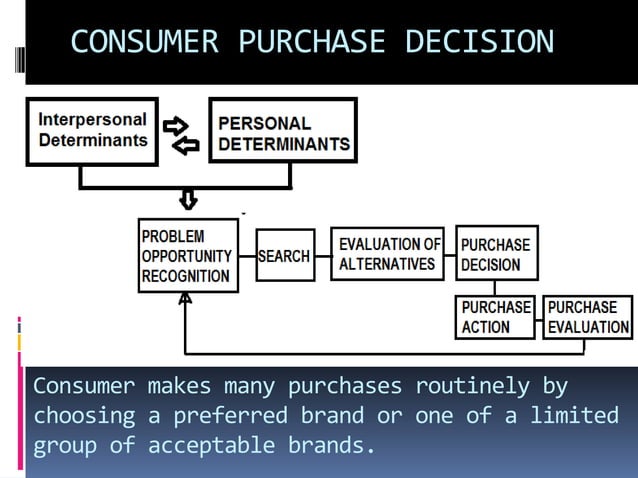 Chapter 3- Consumer Behavior | PPTX | Business and Finance