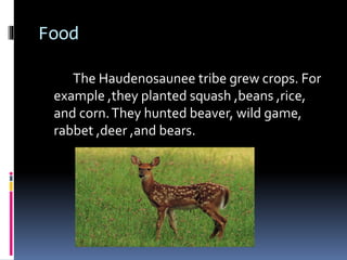 Haudenosaunee timothy klug | PPTX