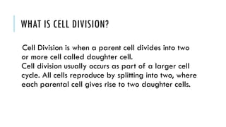 Cell division so cool YAEYYYYYYYYYYYY | PDF