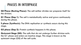 Cell division so cool YAEYYYYYYYYYYYY | PDF
