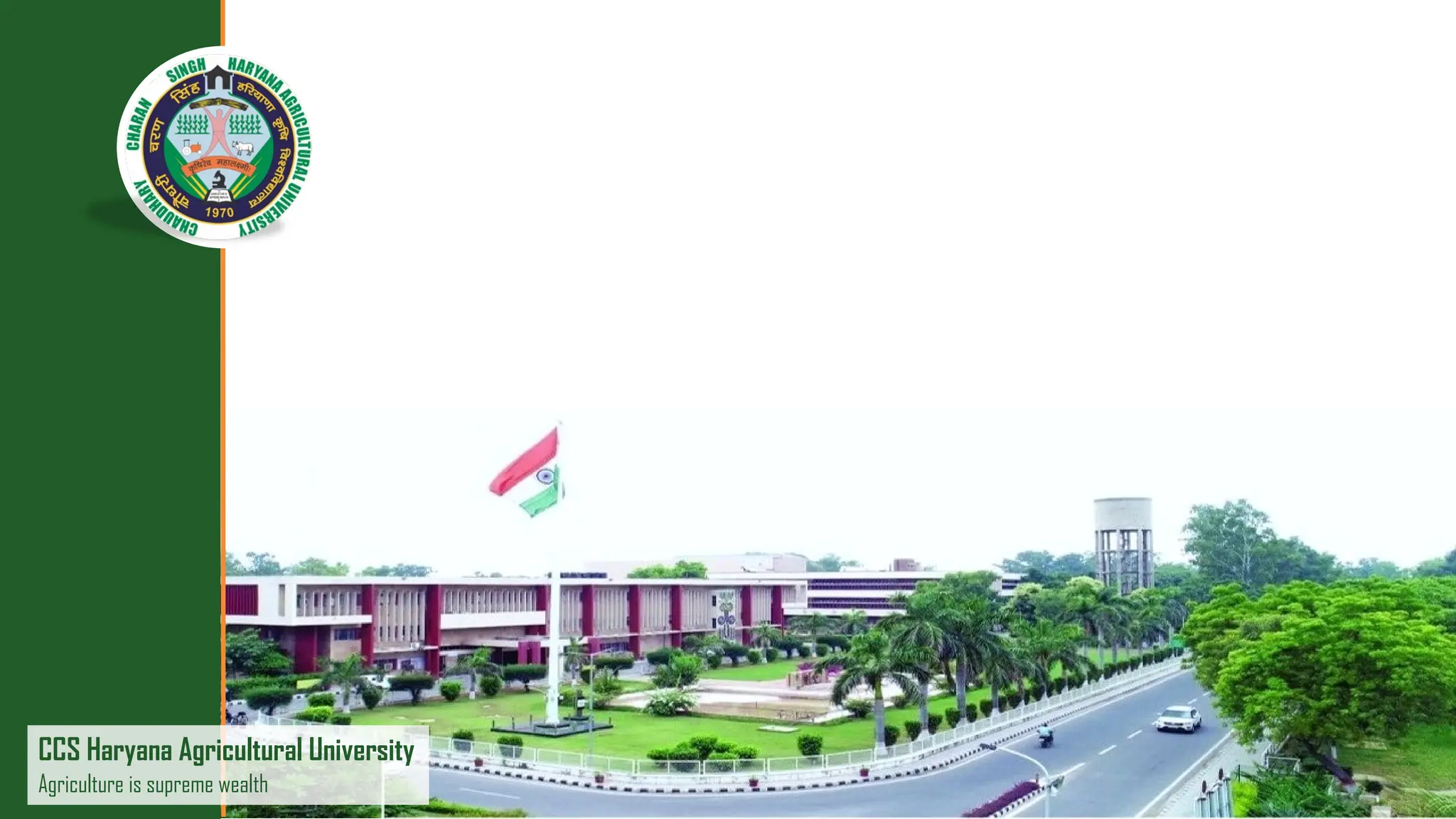 HAU NEW TEMPLATE.ppt.................... | PPT