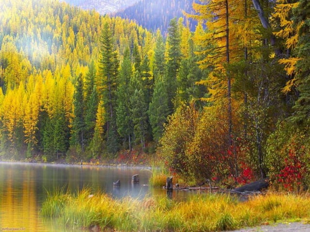Have a Blessed Autumn | PPT