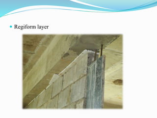 Havelock city project sri lanka | PPTX