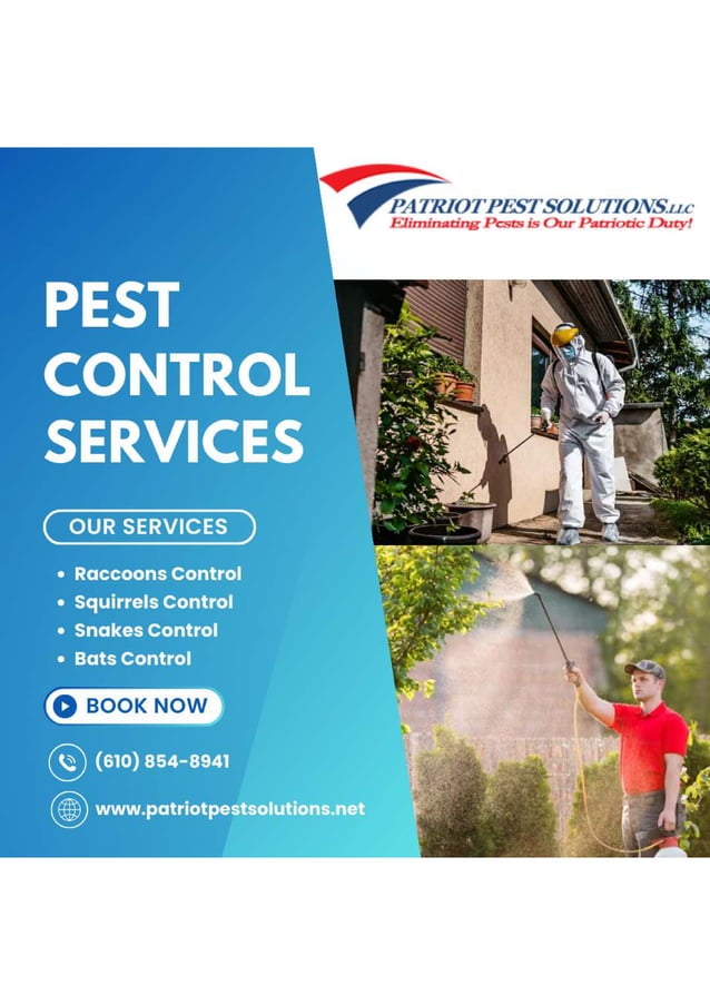 Secure Your Home From Mosquitoes With Patriot Pest Solutions in Amity ...