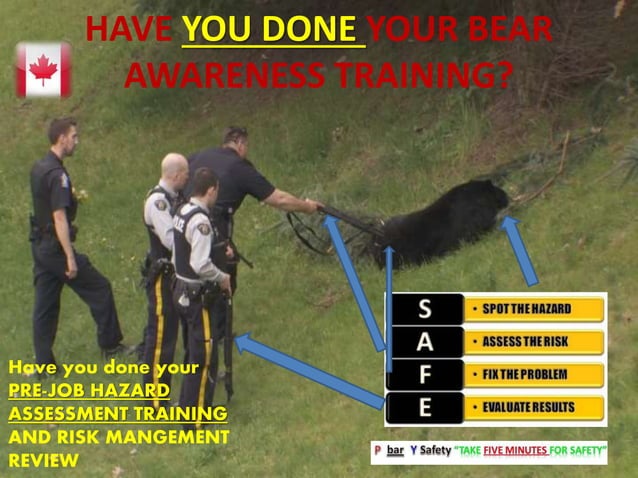 Have you done your bear awareness training | PPTX