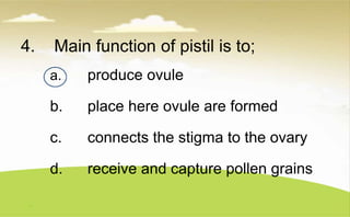 Have you seen a flower.pptx | Gardening | Home & Garden