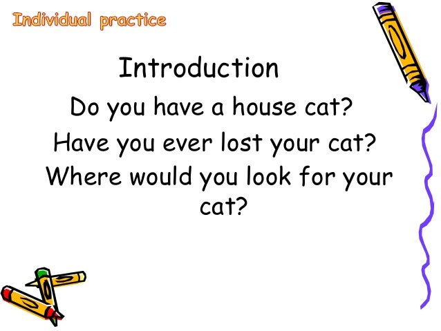 Have you seen my cat ppt online