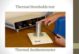 Hand Arm Vibration Surveillance | PPTX