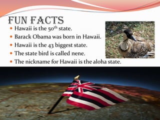 Hawaii | PPTX