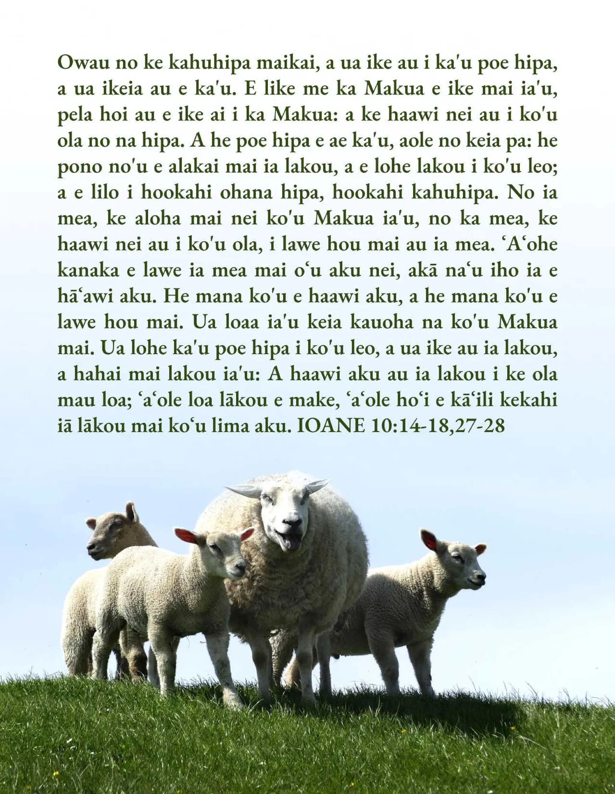 Hawaiian - Good Shepherd Gospel Tract.pdf