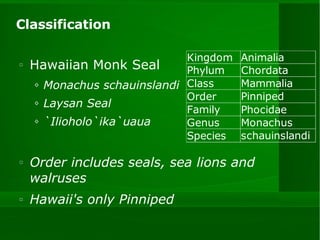 Hawaiian Monk Seal | PPT