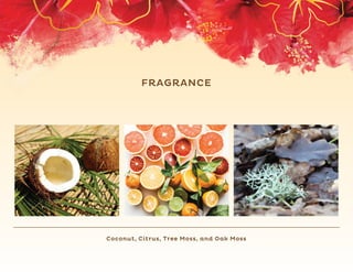Hawaiian tropic brand guide globalinens | PPT